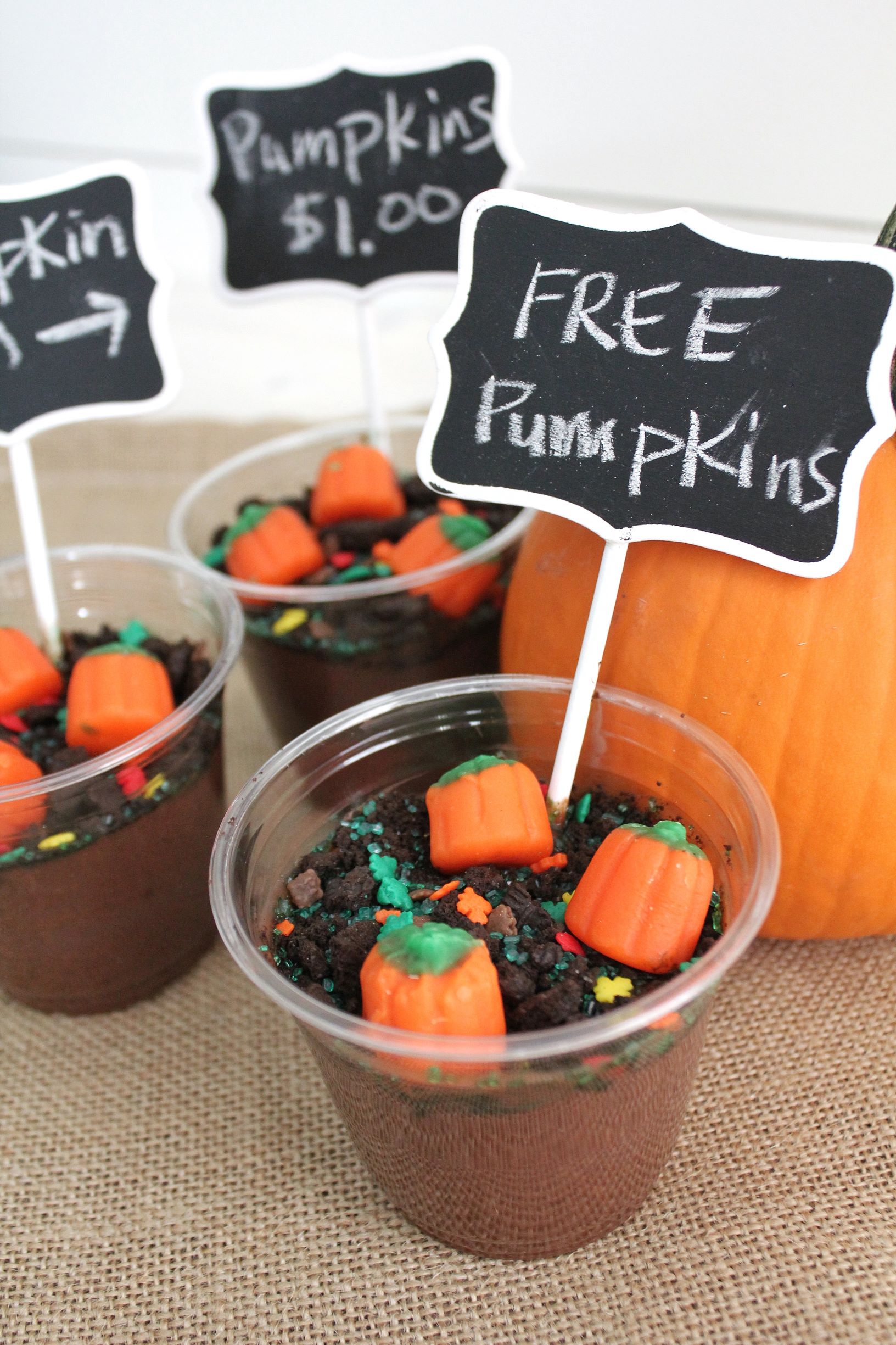 Pumpkin Patch Pudding Treat - Table for 5 Please